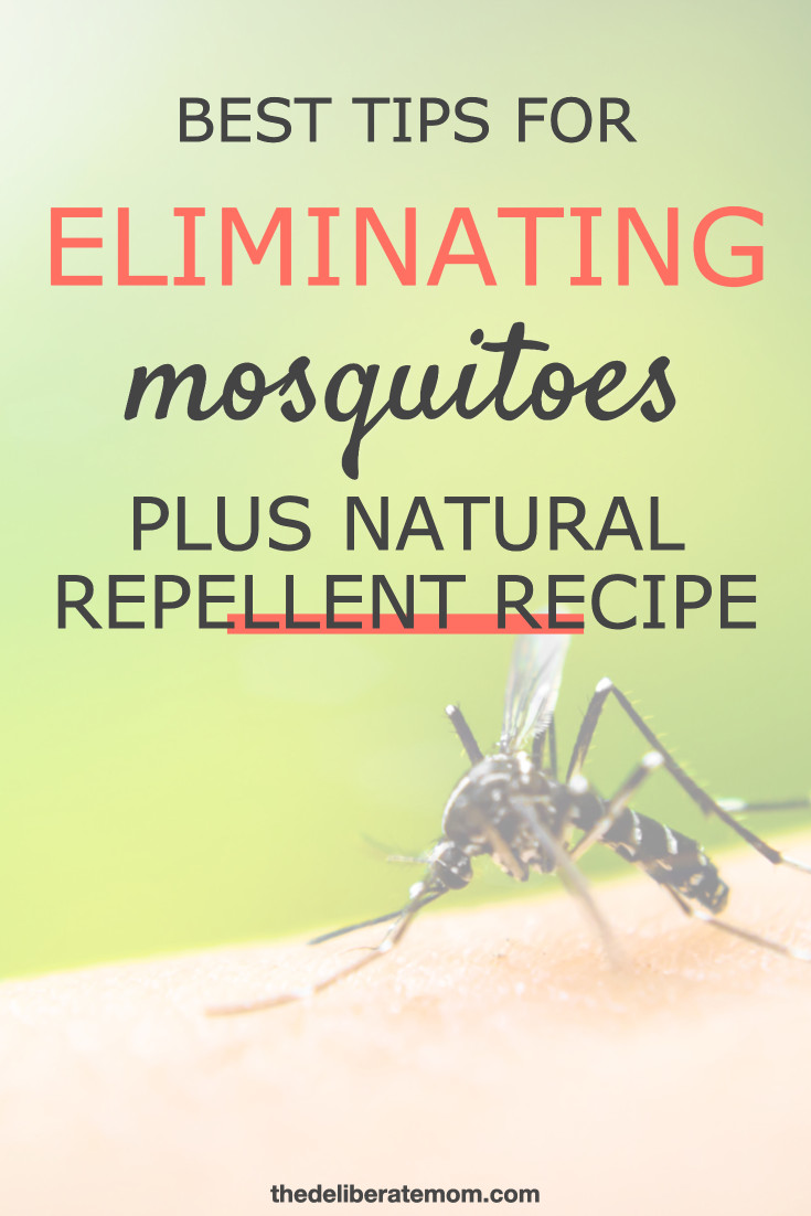 Tips to Fight Mosquitoes + Homemade Mosquito Repellent