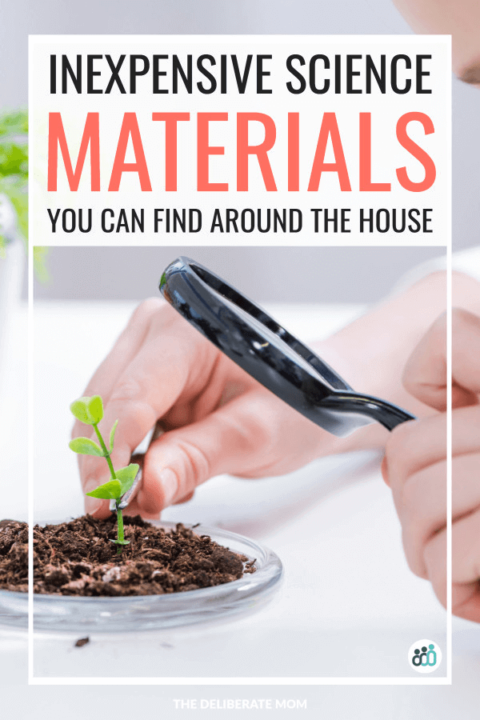 65 Science Materials You Can Find Around the House