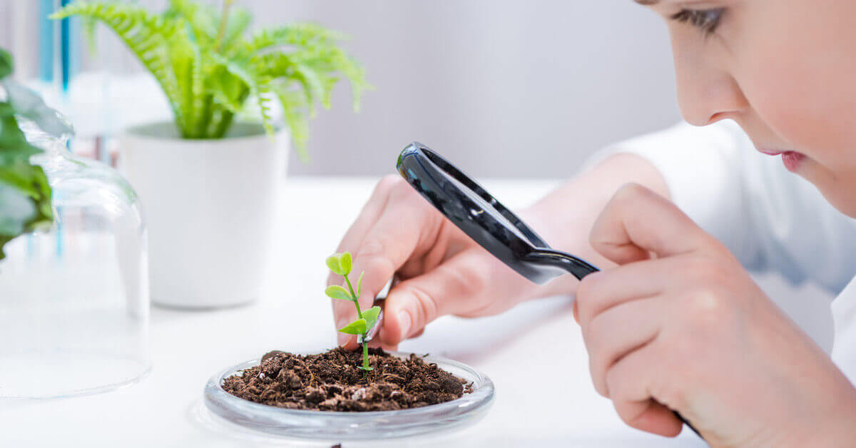 65 Science Materials You Can Find Around the House