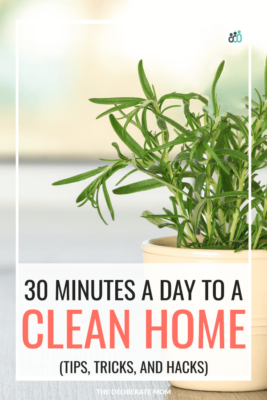 How to Have a Clean Home in Less than 30 Minutes/Day