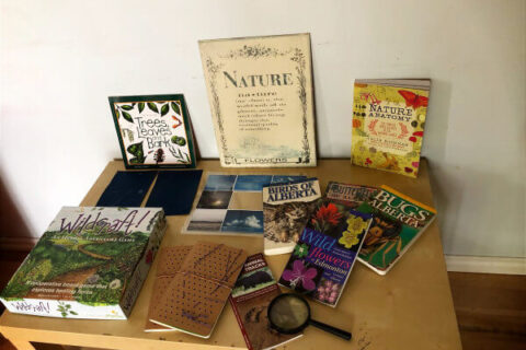 Create a DIY Summer Camp at Home! Nature Camp Theme & Ideas