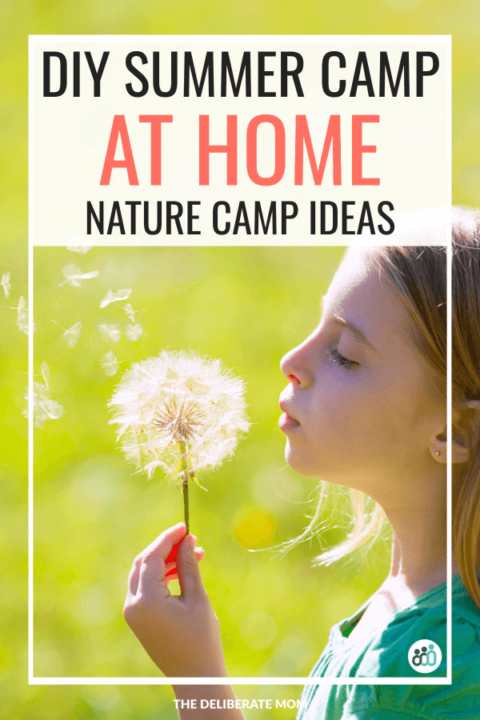 Create a DIY Summer Camp at Home! Nature Camp Theme & Ideas